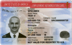 Renew C08 Employment Authorization Document - ImmiFree
